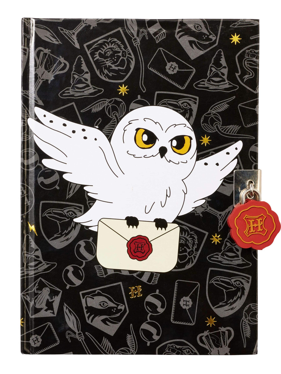 Harry Potter A5 Lockable Notebook | Smiggle UK